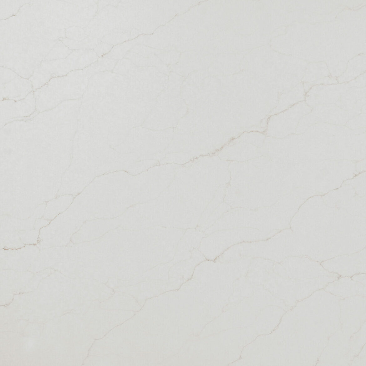 Vene Rose | YDL Stone